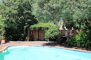 Piscina rodeada por vegetação exuberante e um muro de tijolos.