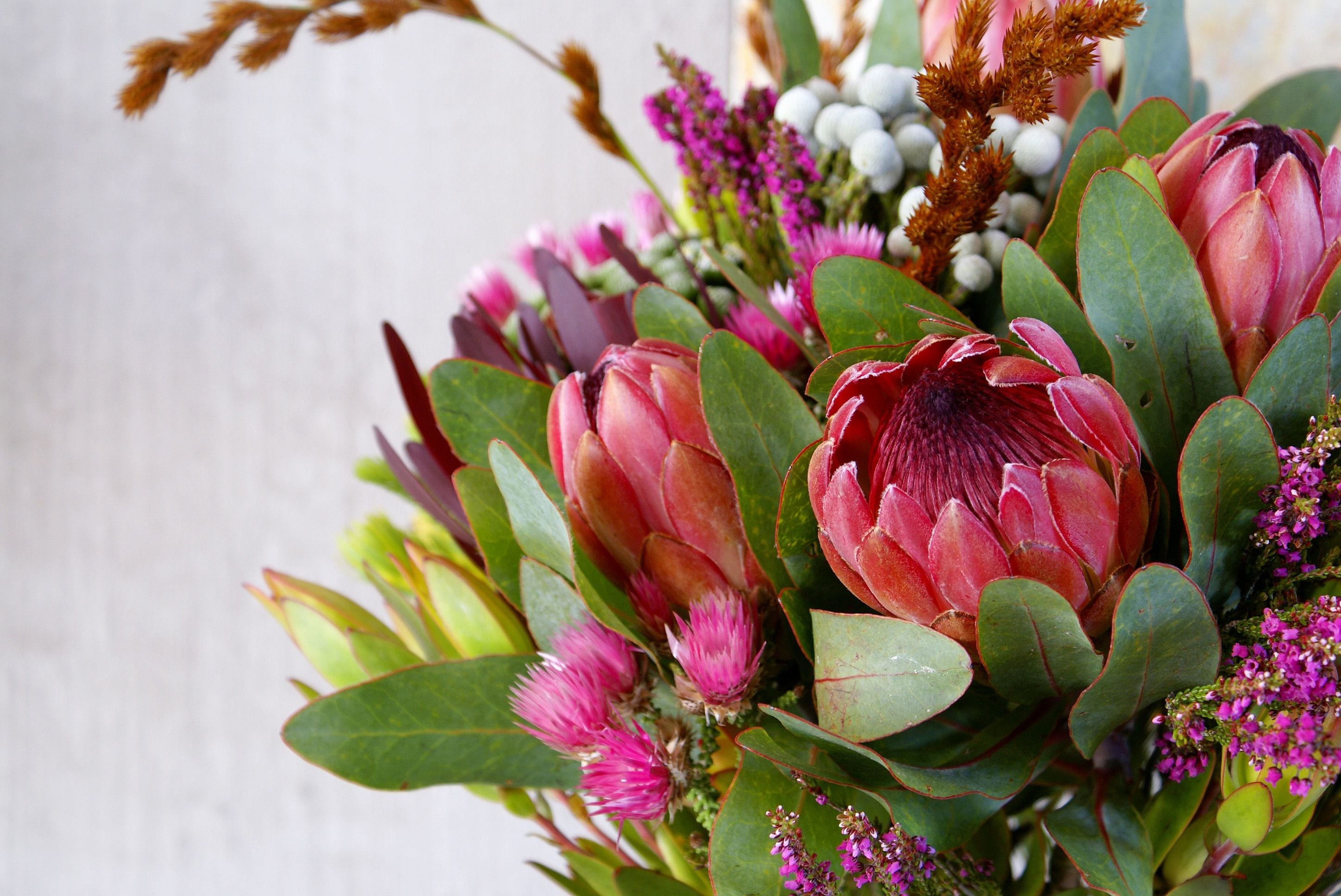 Um close-up de um arranjo floral com diversas plantas e flores.