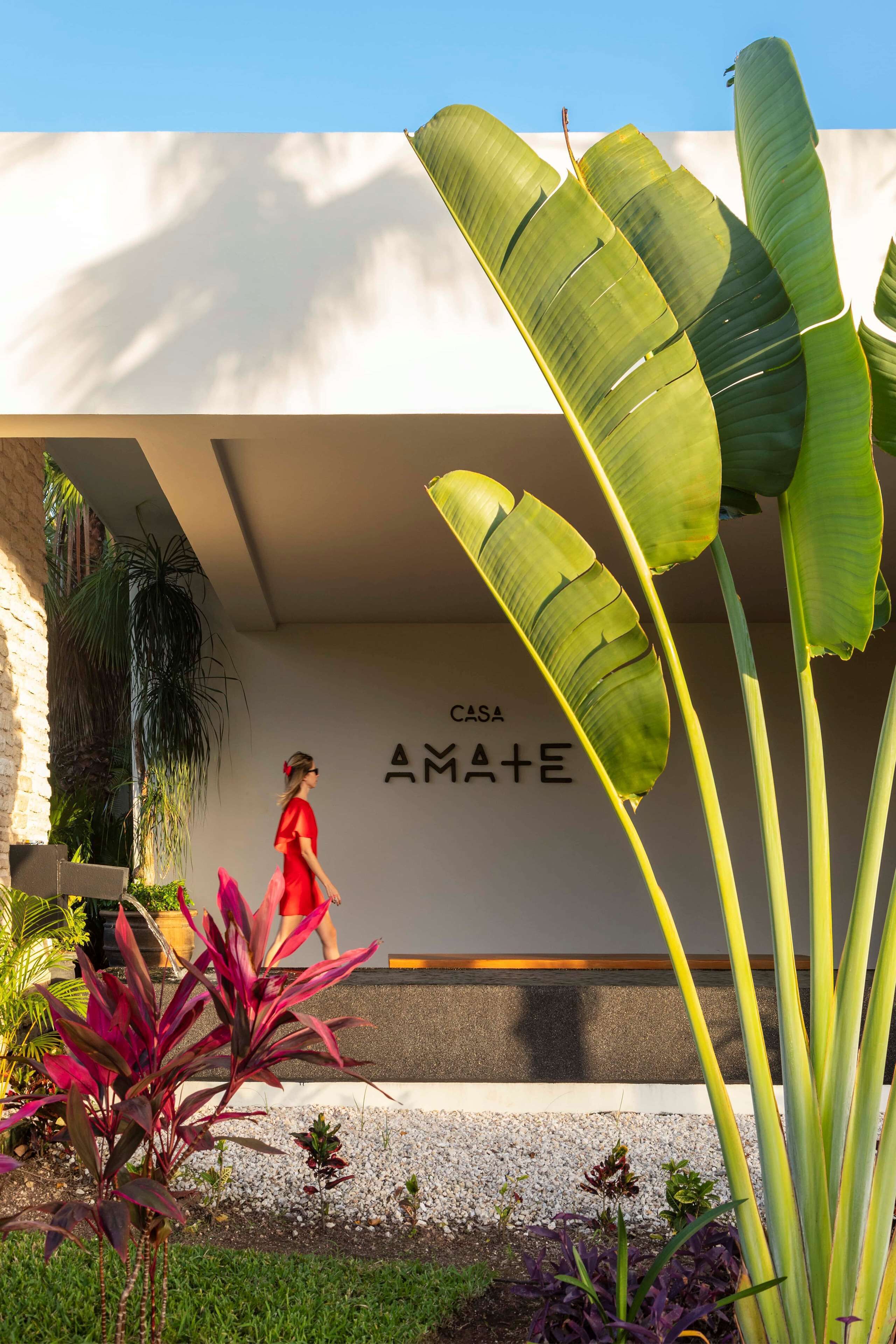 4 restaurantes, jantares servidos, cozinha mexicana 