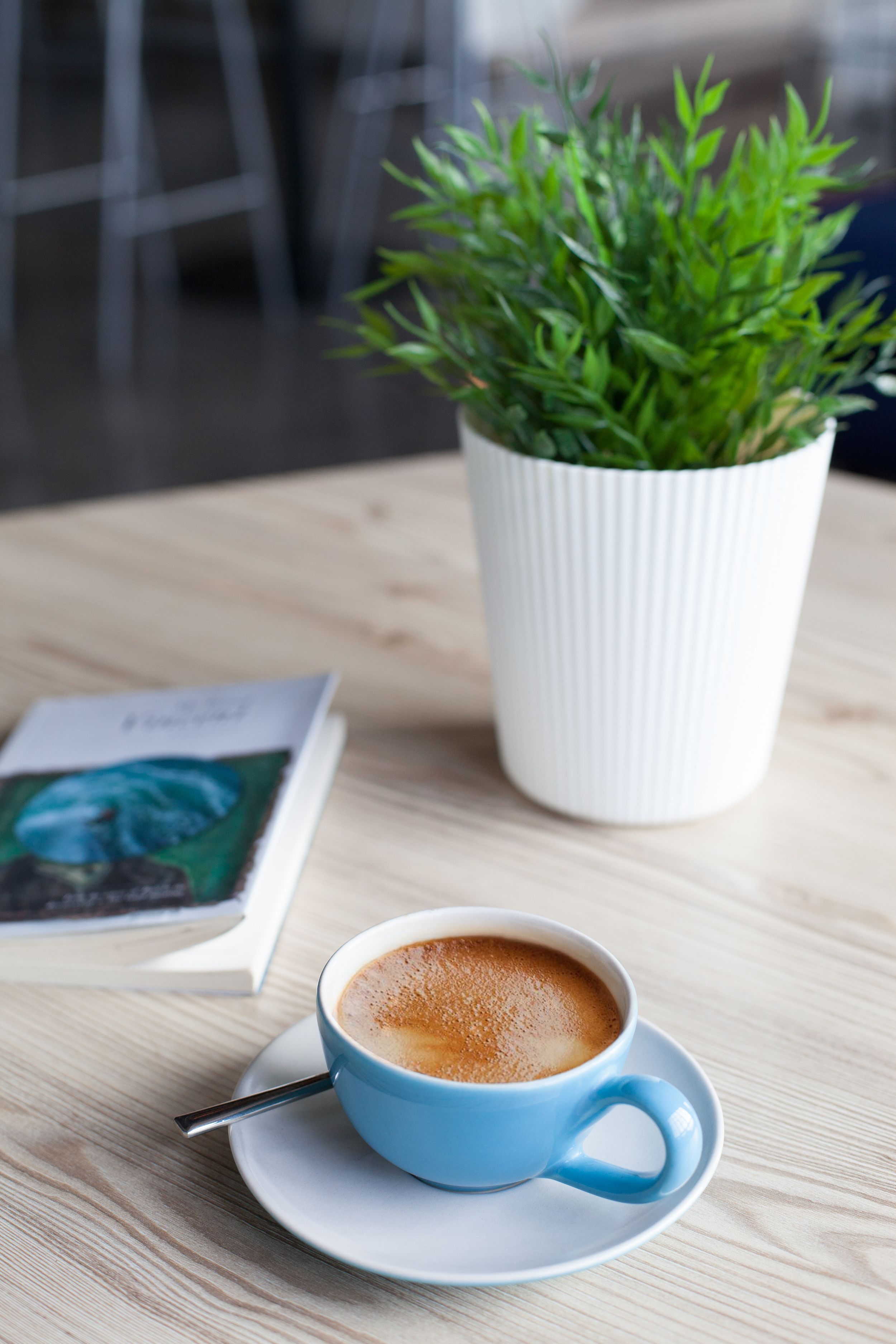 Uma chávena de café azul sobre um pires branco sobre uma mesa de madeira, uma planta em vaso branco e um livro ao fundo.