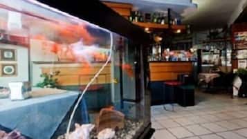 Bar (no alojamento)