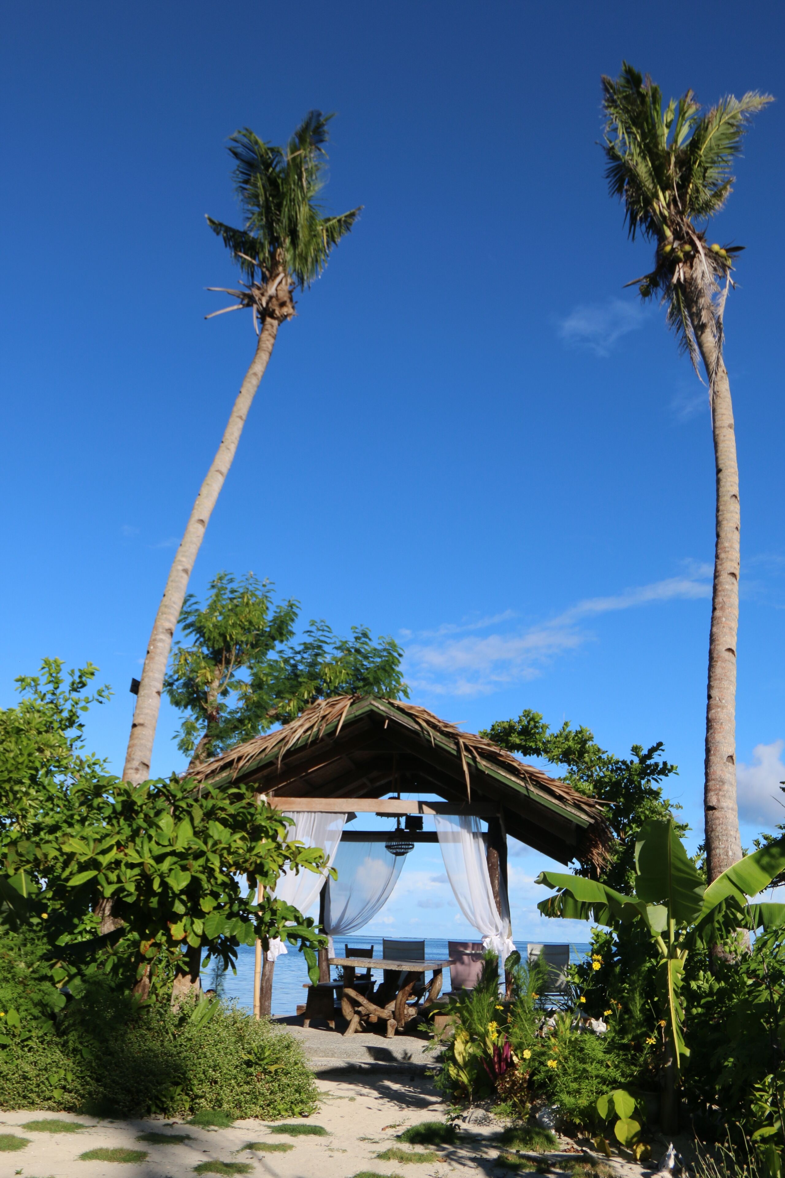 Uma cabana de praia com telhado de palha, rodeada por palmeiras e vegetação tropical.