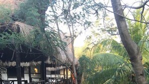 Área da propriedade
