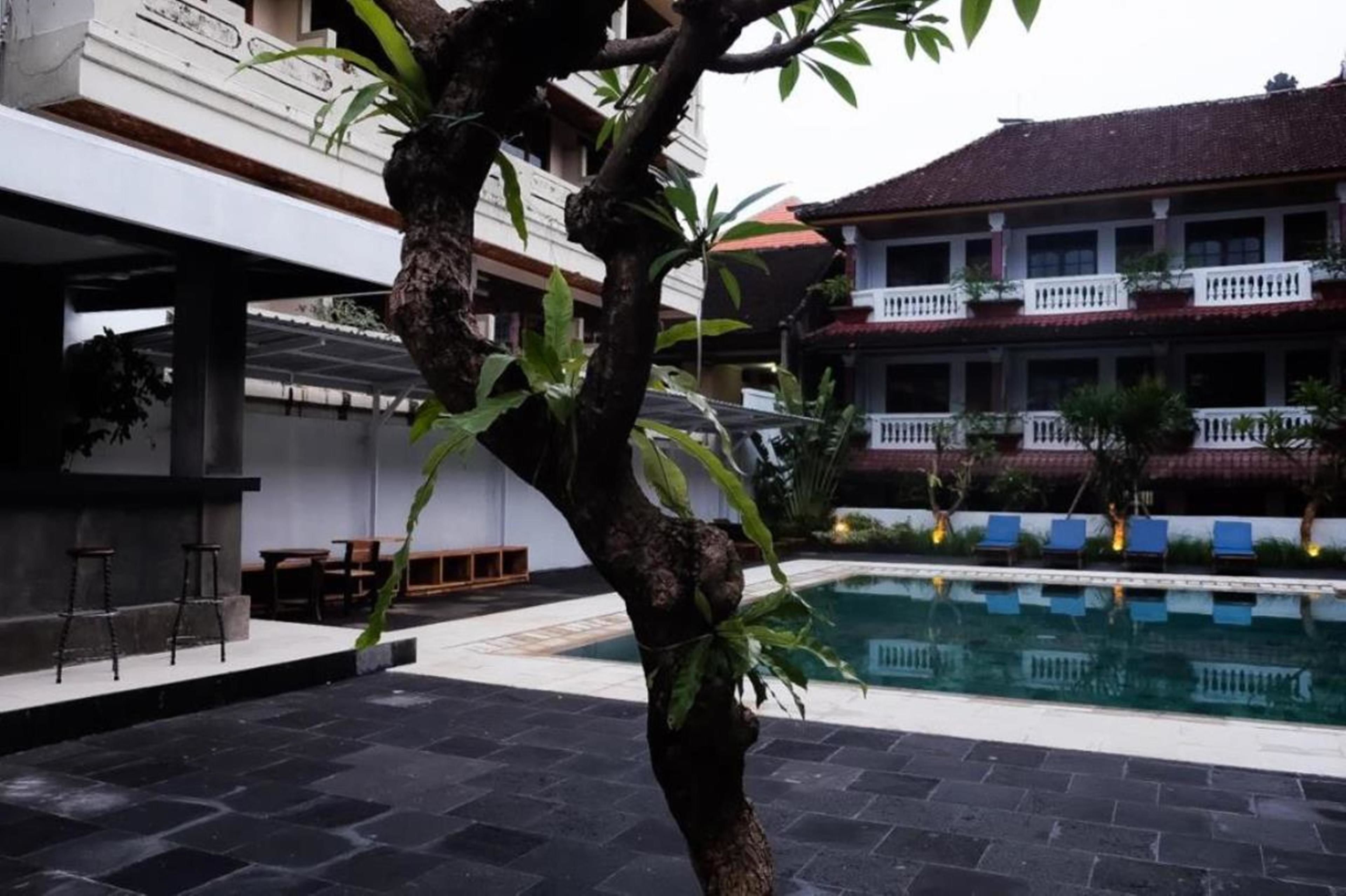 Uma área de piscina com uma árvore, um edifício com telhado vermelho e uma varanda branca.