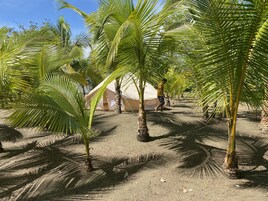 Tenda | Roupa de cama fornecida 