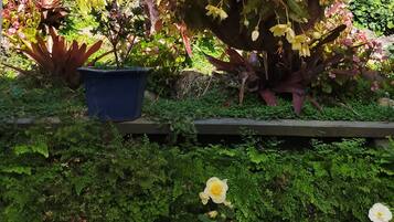 Um jardim com diversas plantas e flores, incluindo flores amarelas e brancas, e um vaso azul.