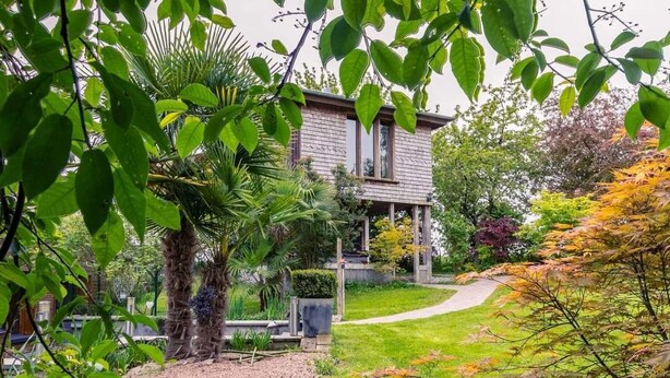 Uma casa com jardim, um caminho e uma palmeira.