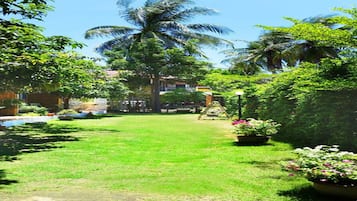 Terrenos do alojamento