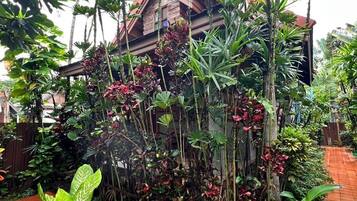 Um jardim tropical com diversas plantas e uma casa de madeira com telhado vermelho.