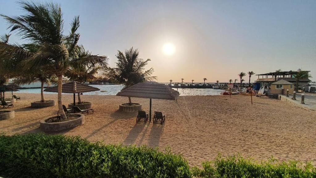 Uma praia com palmeiras, guarda-sóis e cadeiras de praia.