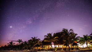 Cena noturna na praia com palmeiras e um edifício iluminado.