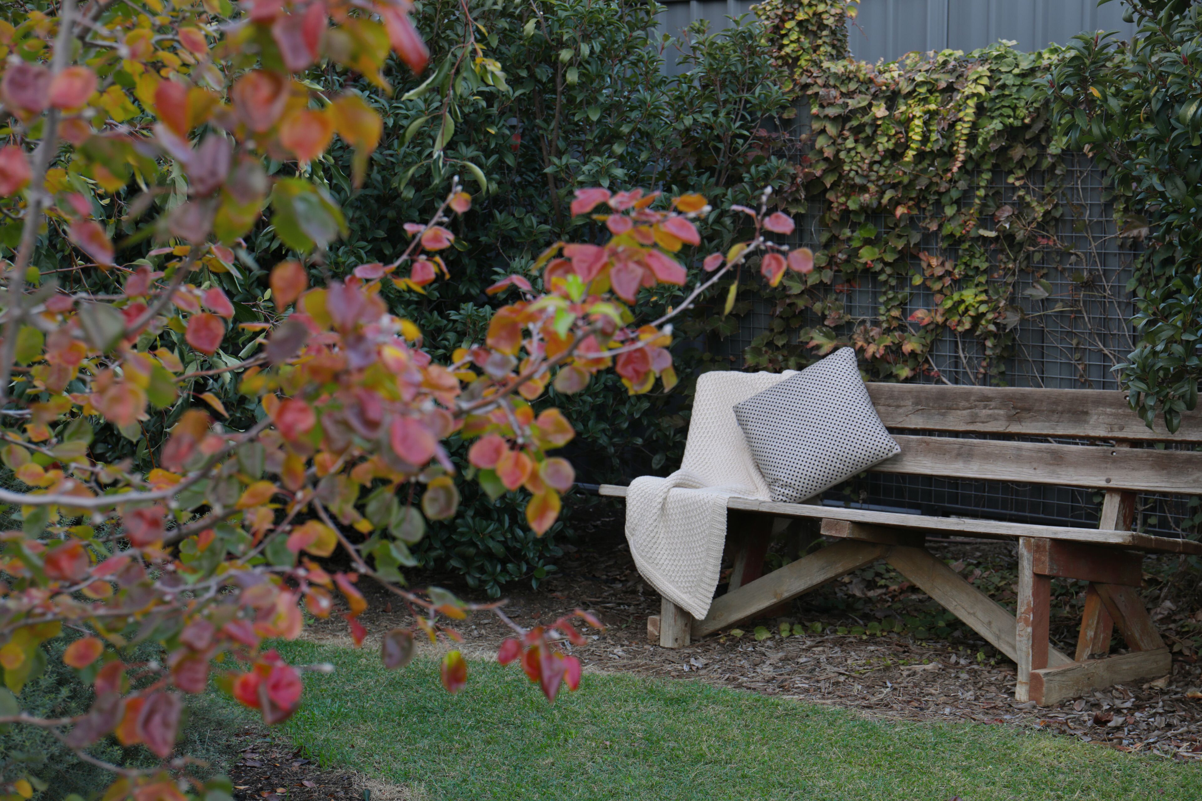 Um banco de madeira com almofada e manta num jardim com relva verde e árvores com folhas vermelhas.