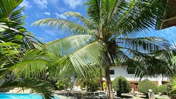 Piscina externa, espreguiçadeiras