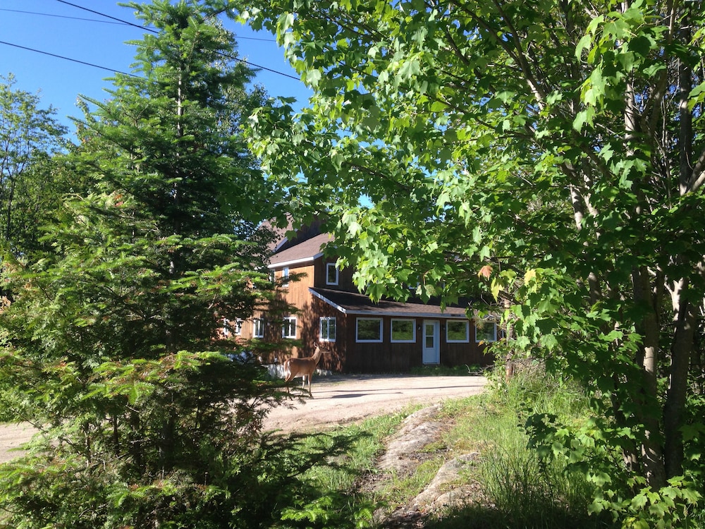 Warbler's Roost Country Inn B&b - Algonquin Provincial Park