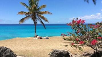Praia de areia branca, snorkel, windsurf, surf/bodyboard