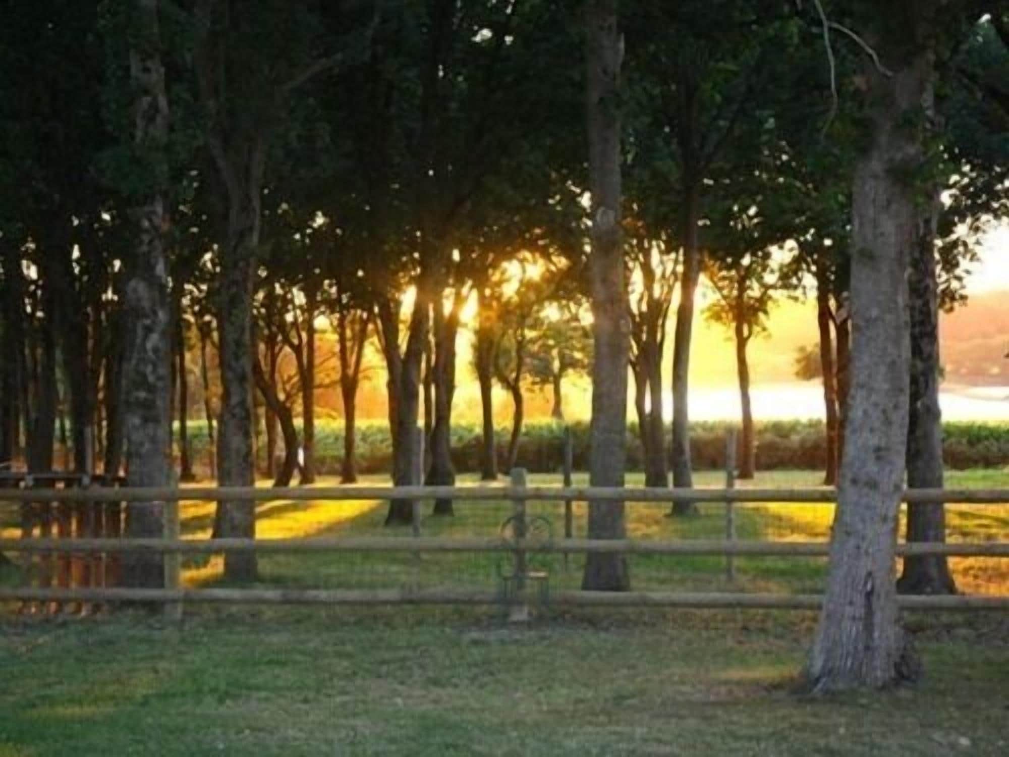 Uma área externa cercada, com árvores e um campo gramado.