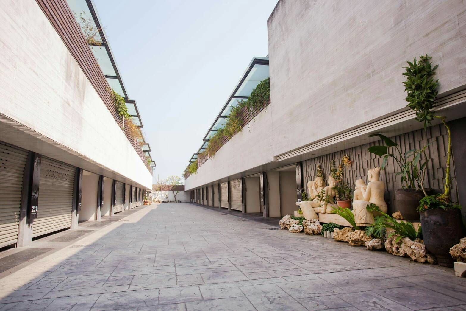 Estacionamento grátis 