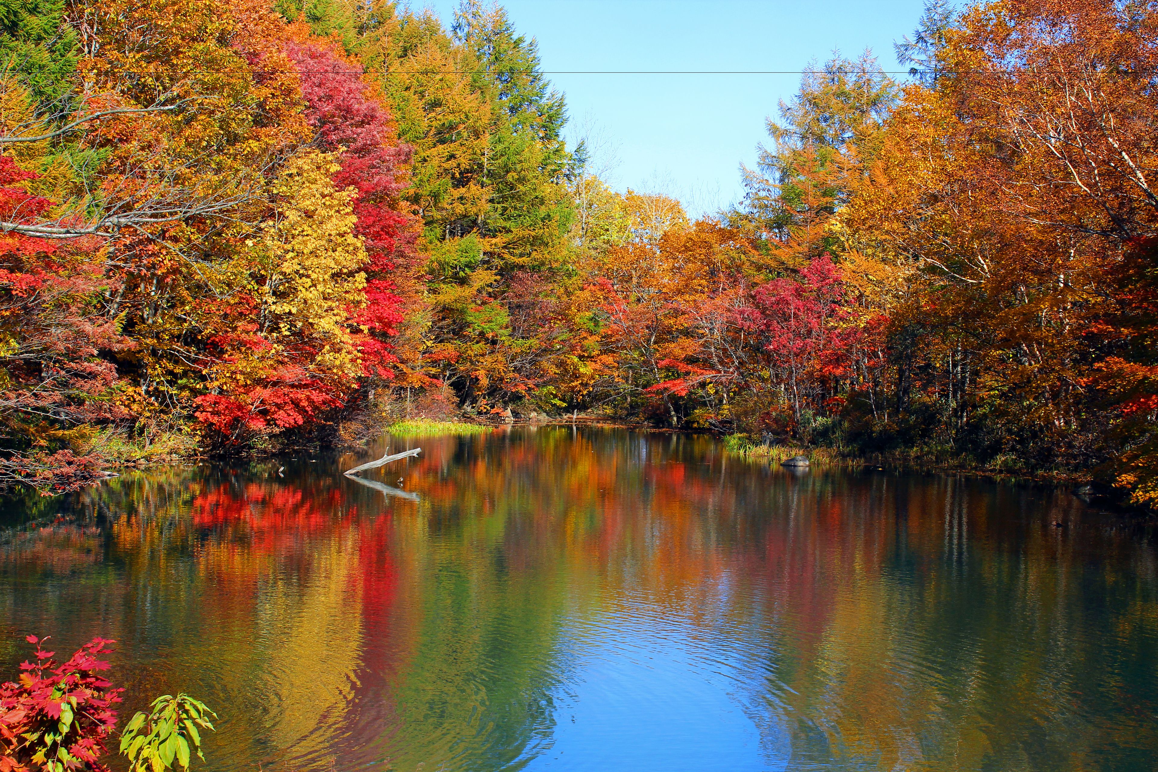 Um lago tranquilo rodeado por árvores com cores de outono.