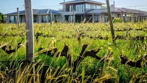 Uma casa moderna com grandes janelas e telhado plano, cercada por um campo de grama alta.