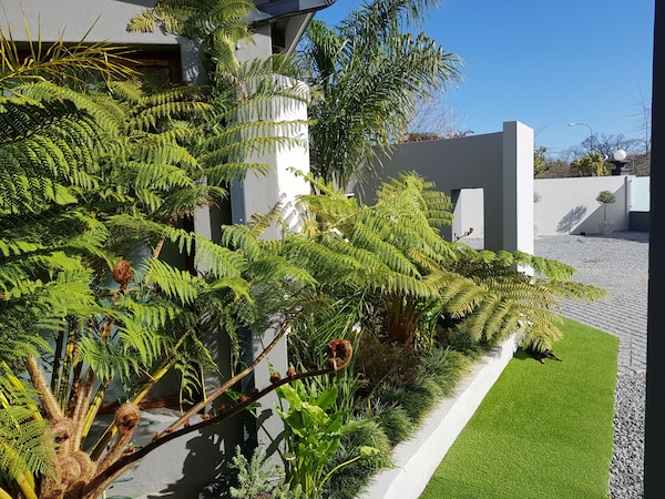 Two Fat Owls Guesthouse - Western Cape