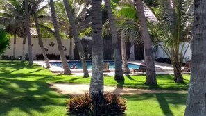 Área da piscina com palmeiras e um gramado bem cuidado.