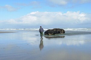 Uma pessoa caminhando na praia com uma grande rocha na água.