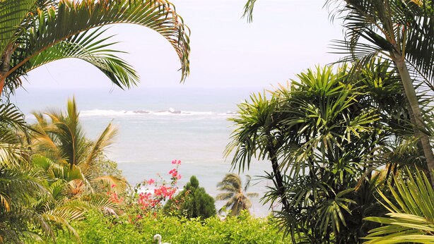 Um jardim tropical com vista para o oceano, um pássaro branco e uma escultura de pedra.