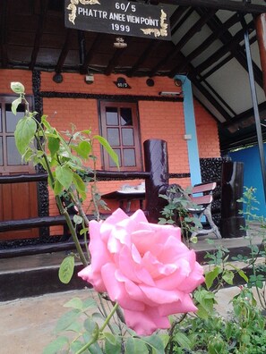 Terraço/pátio interior