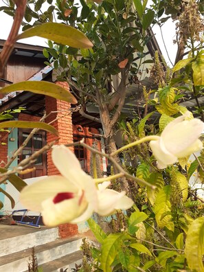 Fachada do alojamento