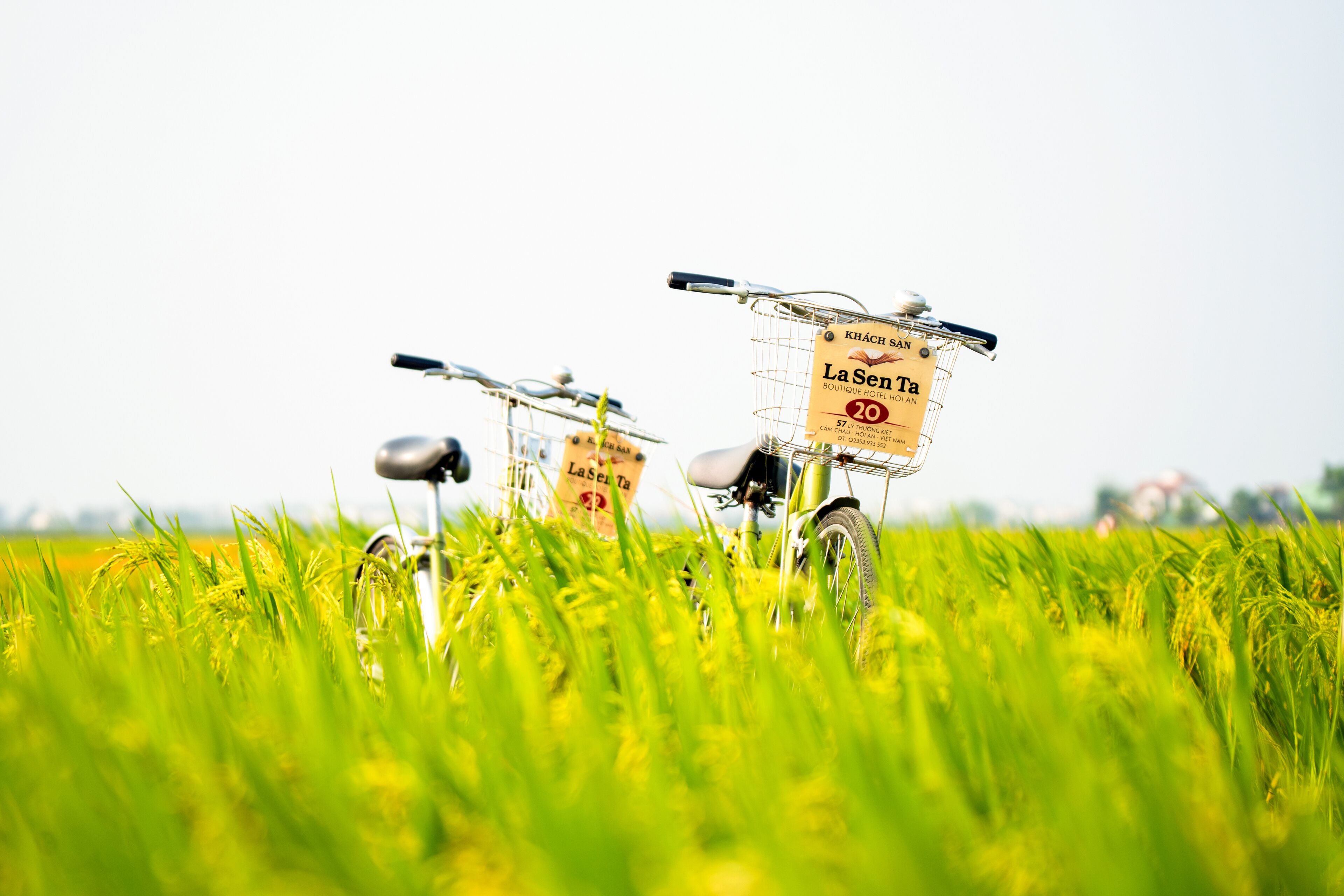 Duas bicicletas estacionadas em um campo, com uma placa em uma delas.