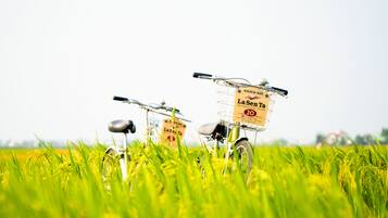 Duas bicicletas estacionadas em um campo, com uma placa em uma delas.