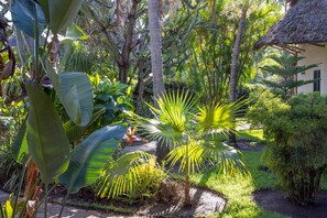 Jardim