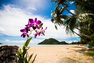 Uma praia privada, praia de areia branca 