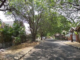 Vista da propriedade