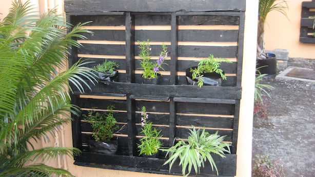 Um vaso de madeira preta com diversas plantas em vasos, em frente a uma parede bege.