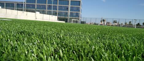 Plano aproximado de um campo de relva bem cuidado, com um edifício moderno ao fundo.