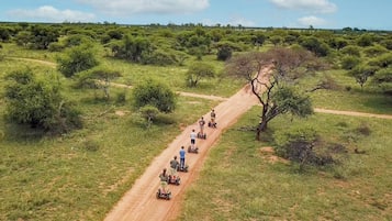 Passeios de segway