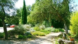 Um caminho no jardim com diversas plantas e árvores, um banco de pedra e um pequeno lago.