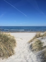 Praia de areia branca, voleibol de praia 