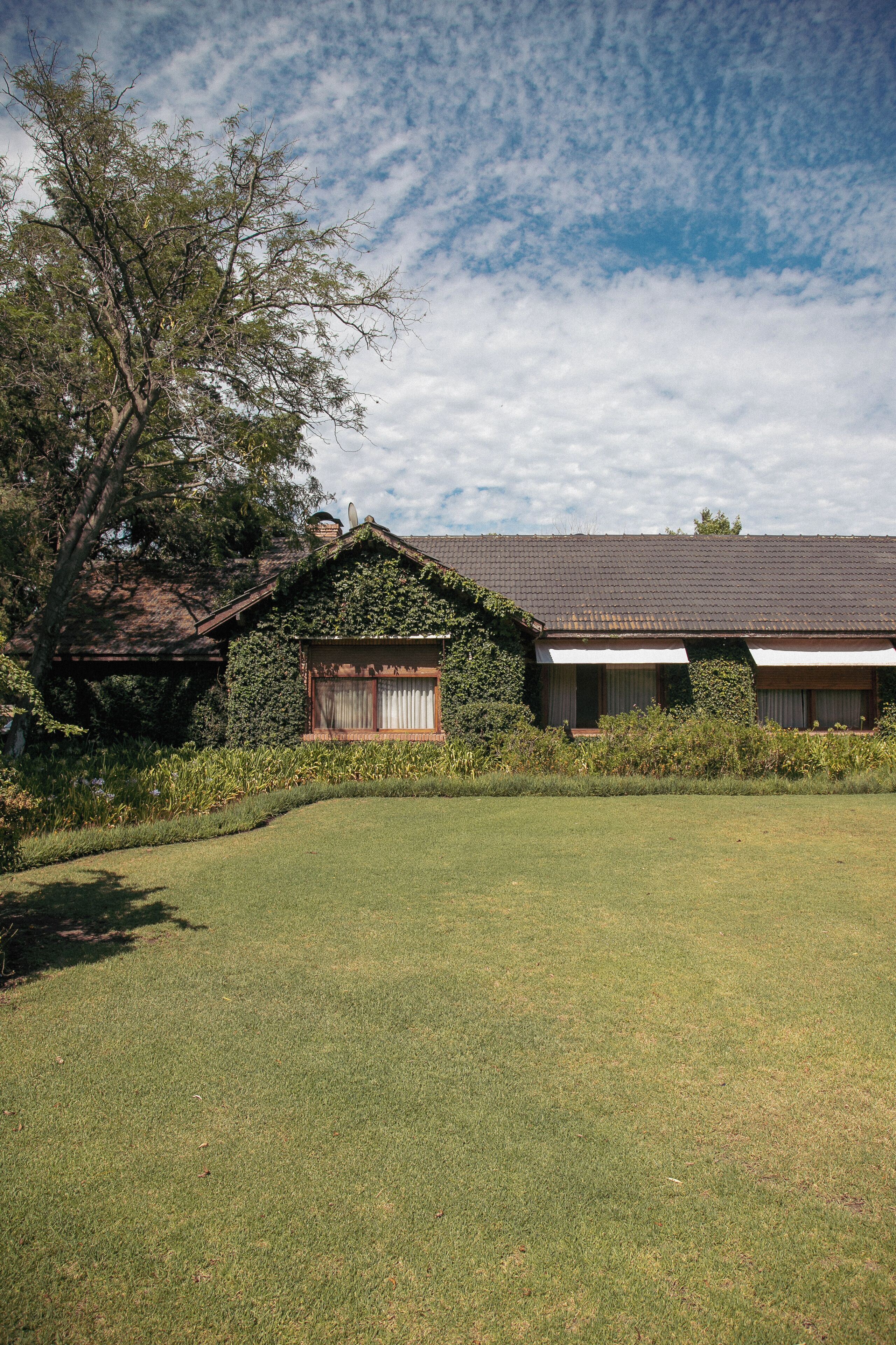 Uma casa com telhado inclinado, cercada por um gramado bem cuidado e uma grande árvore.