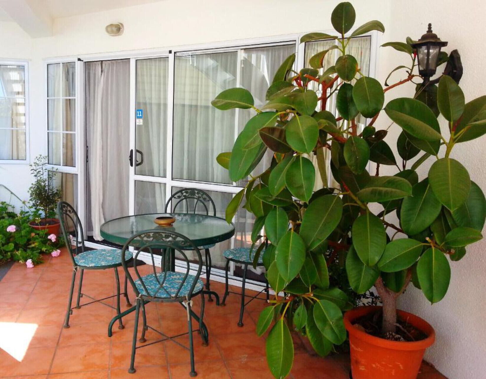 Um pátio externo com mesa e cadeiras de vidro, uma planta em vaso e uma porta de correr com vidro.