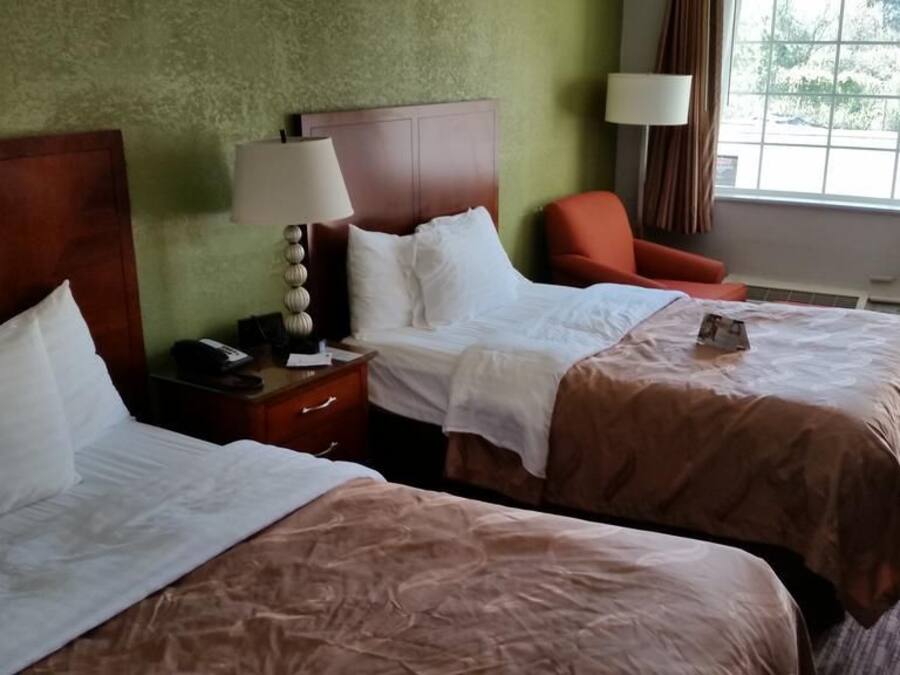 Quarto de hotel com duas camas, mesa de cabeceira com luminária, uma cadeira e janela com cortinas.