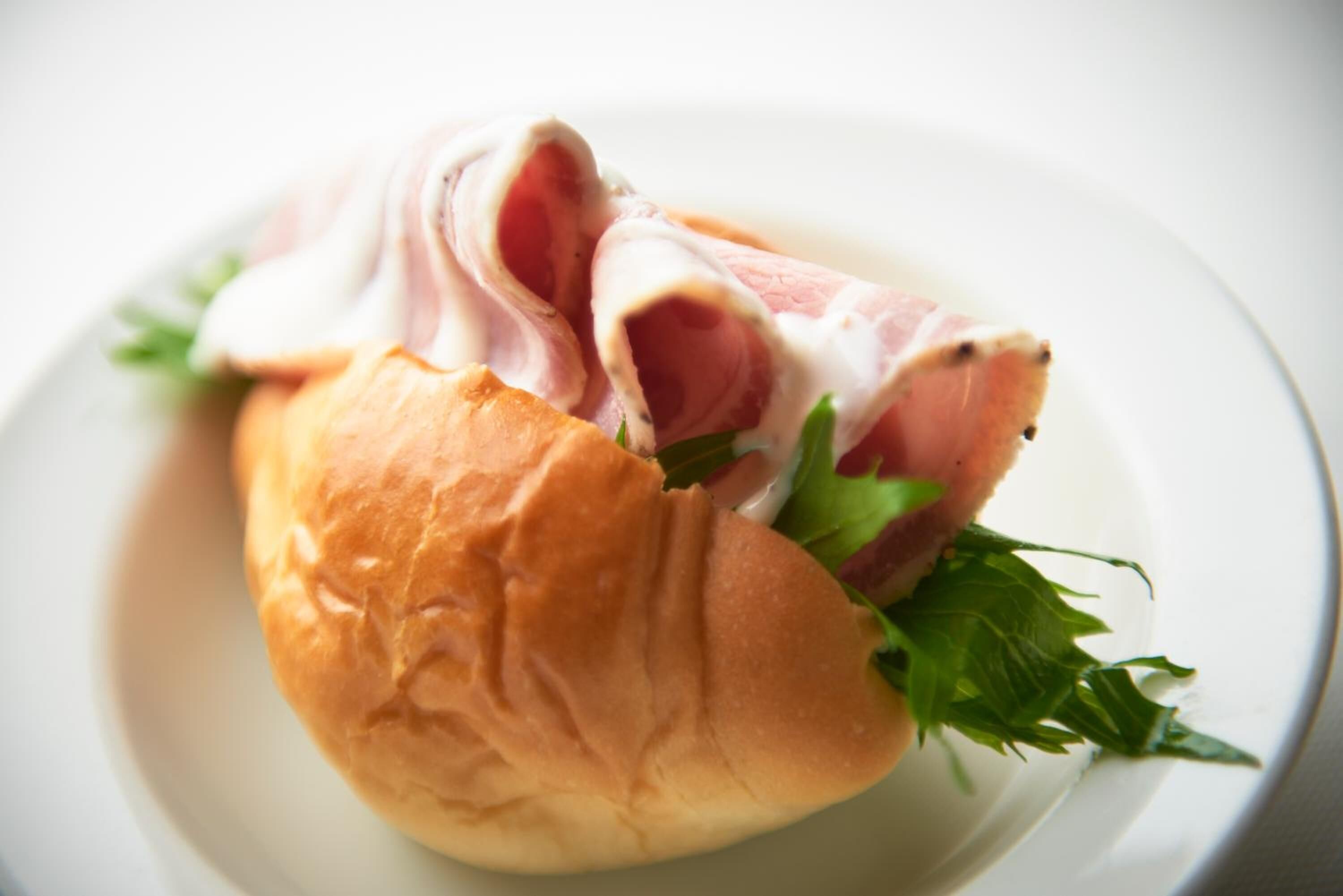 Um sanduíche com pão, carne e folhas em um prato.