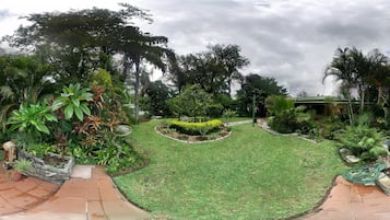 Jardim