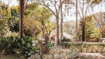 Jardim