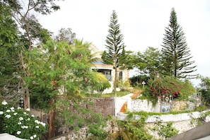 Uma casa cercada por vegetação exuberante, com árvores altas e plantas floridas.
