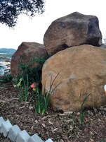 Vista da propriedade