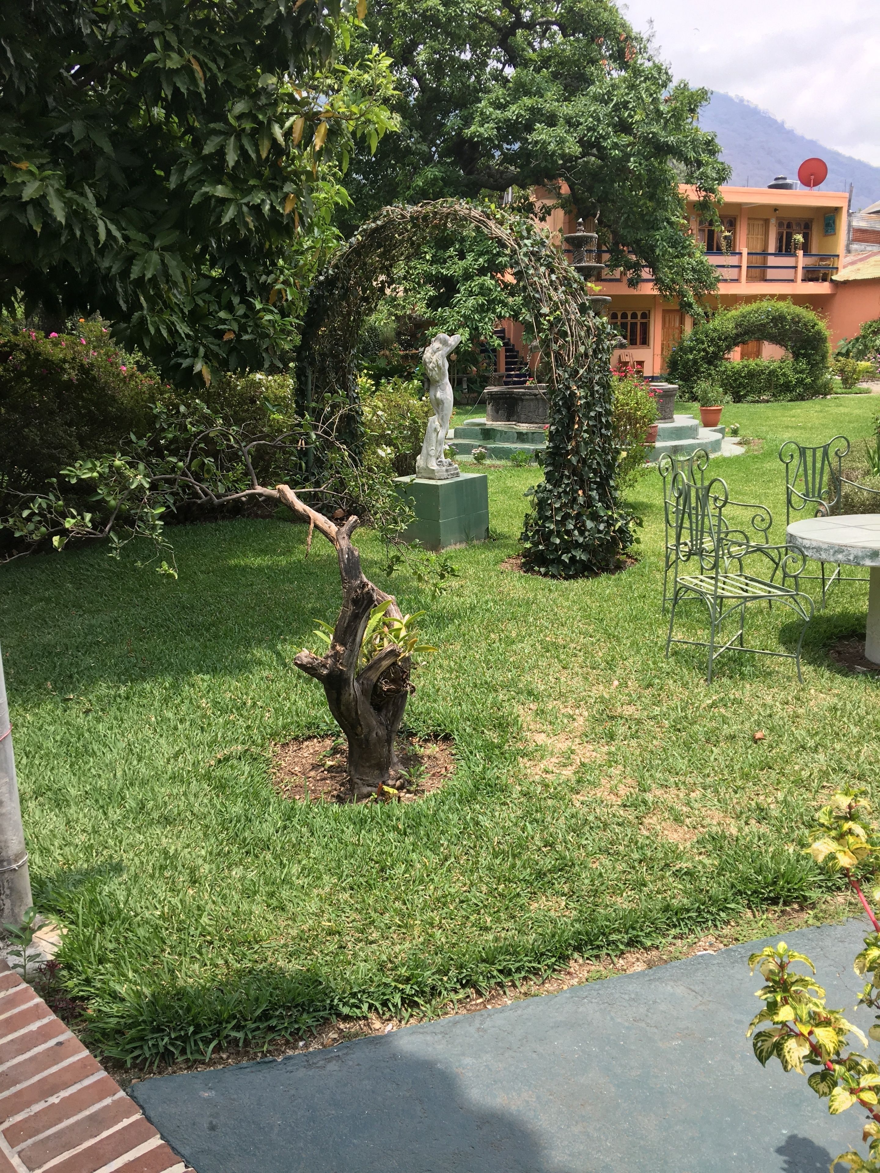 Um jardim com uma estátua, uma árvore pequena e um edifício ao fundo.