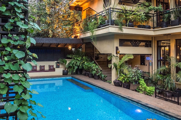 Piscina exterior, guarda-sóis, espreguiçadeiras