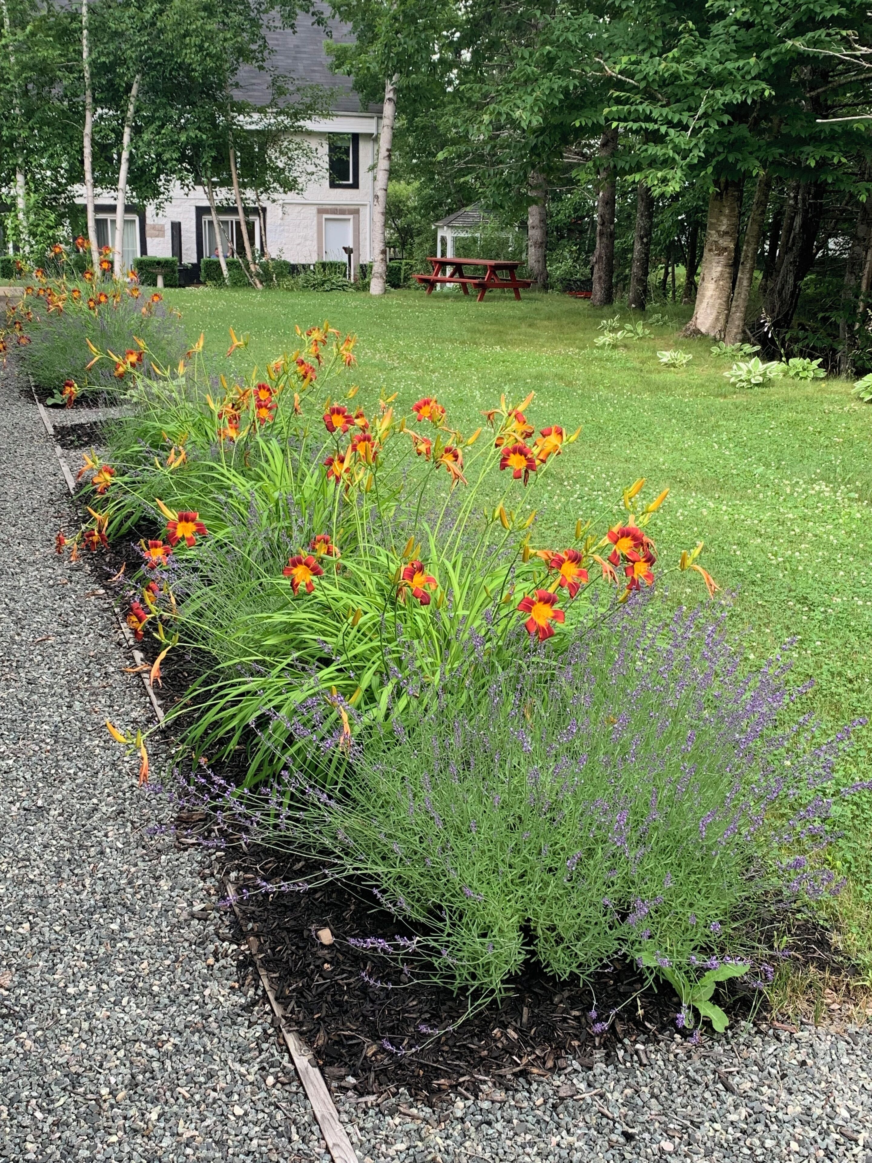 Um jardim com diversas plantas e uma mesa para piquenique.